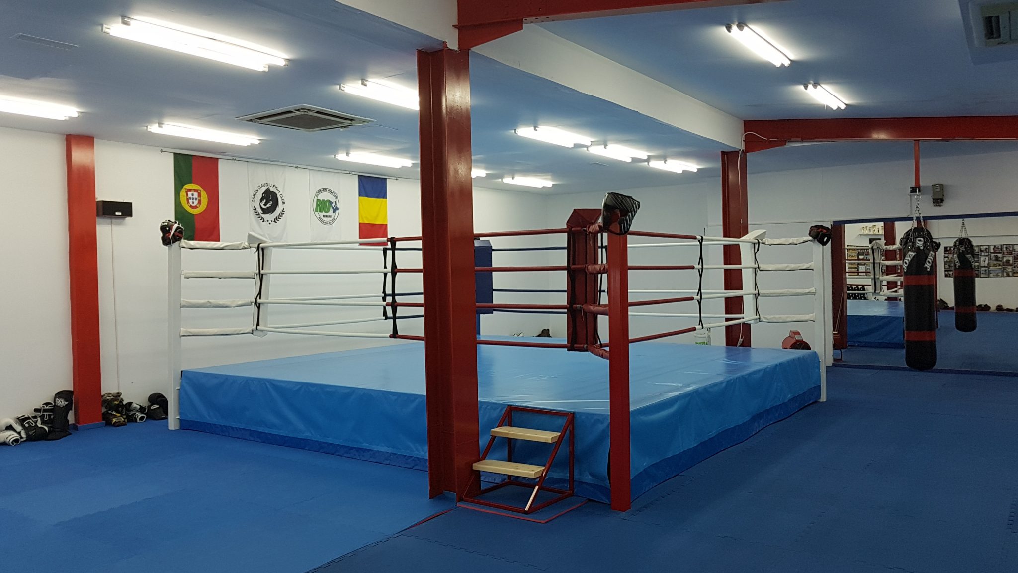 Ring box cu podium 4.5x4.5m, complet dotat