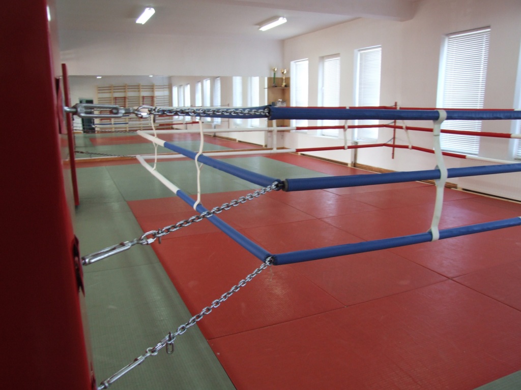 Ring de box antrenament fara podium: stalpi, ancoraj si corzi