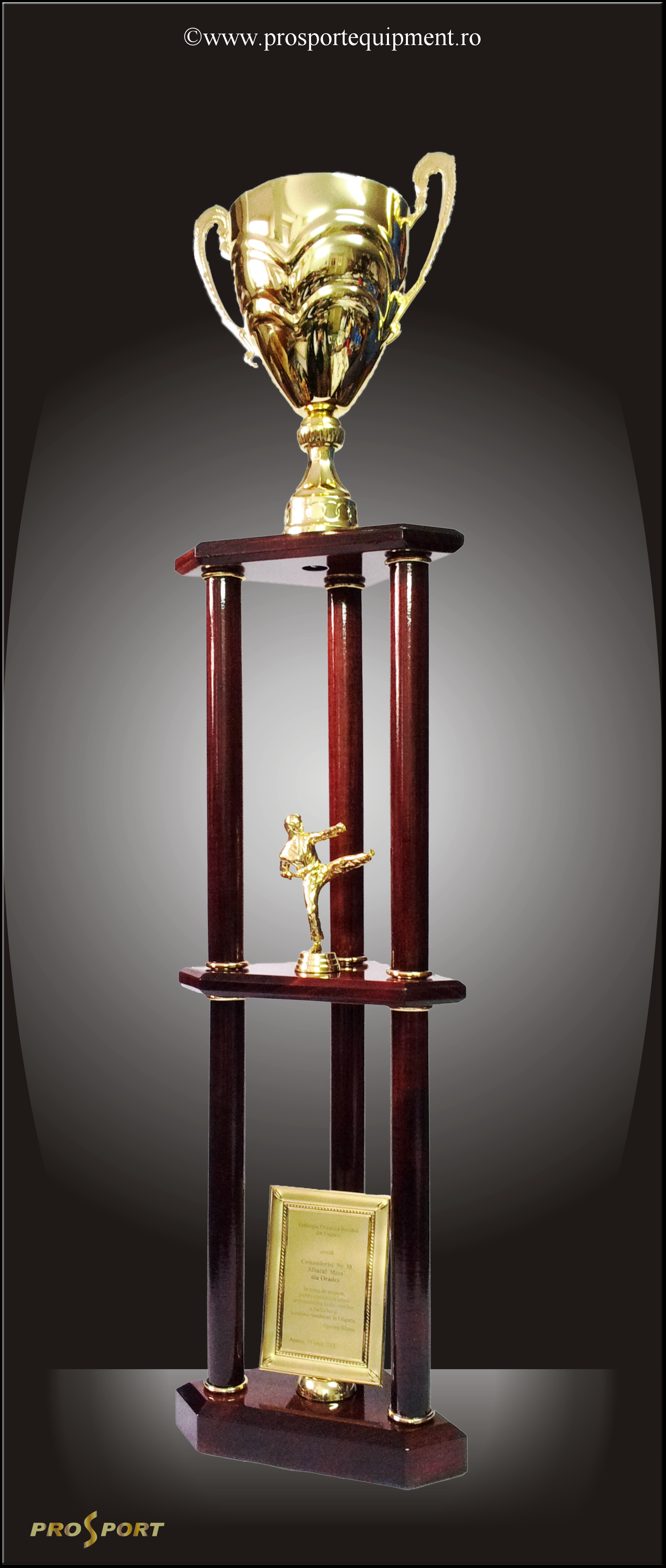 Trofeul TR2 din lemn masiv, premiu universal, diverse marimi