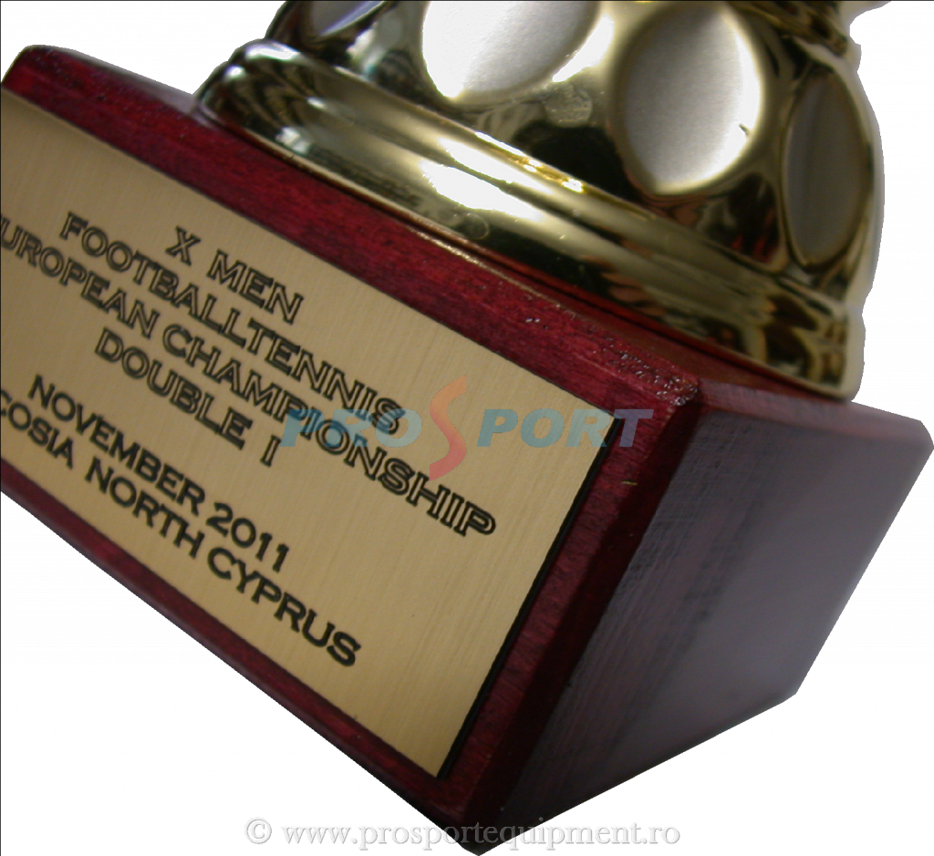 Personalizare cupe trofee figurine in functie de eveniment
